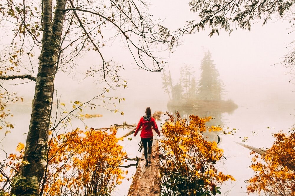 Four Lakes Trail Hike at Alice Lake - What Lynn Loves