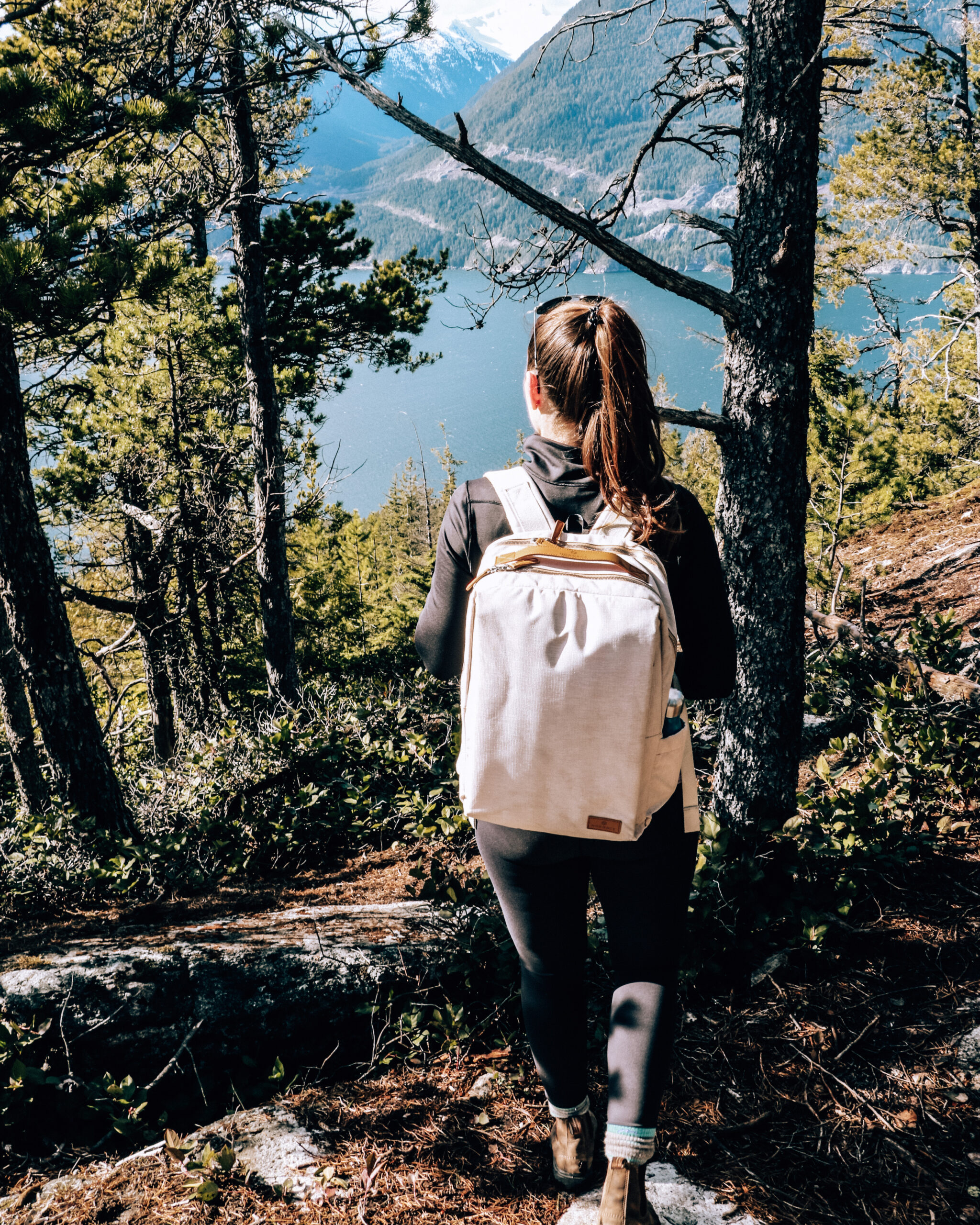 Murrin Loop and Jurassic Ridge Trail Hike in Squamish - What Lynn Loves