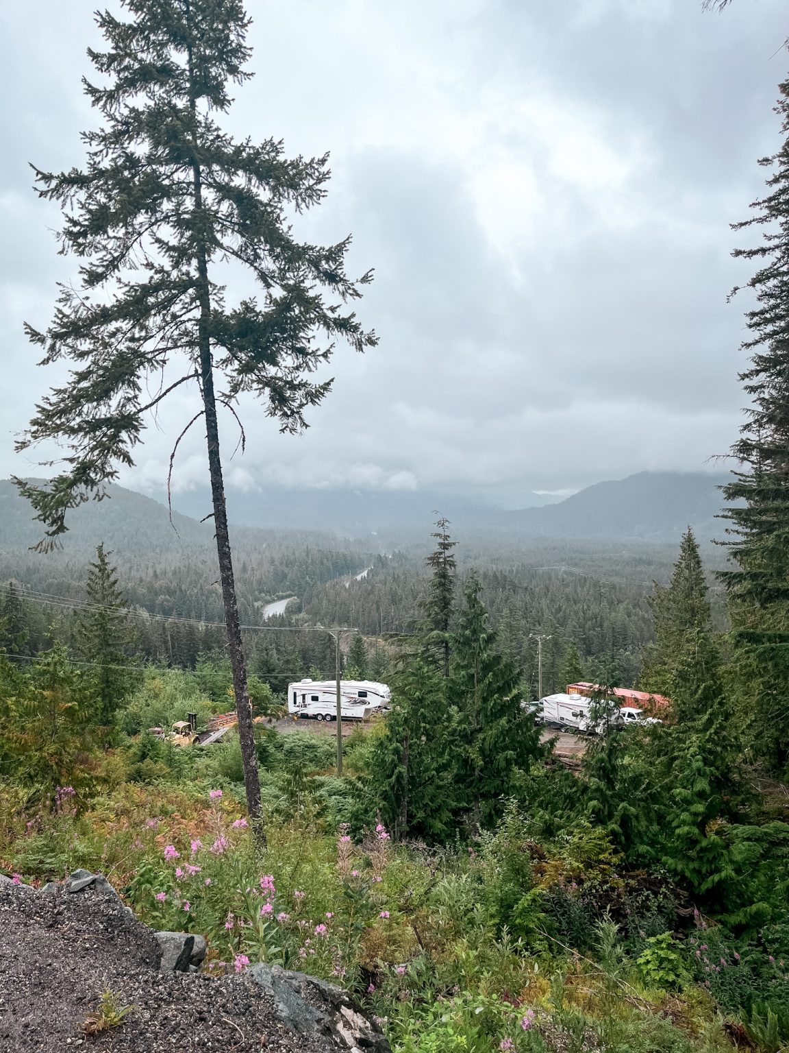 Best Whistler Camping Sites for Your Next Visit (2023) - What Lynn Loves